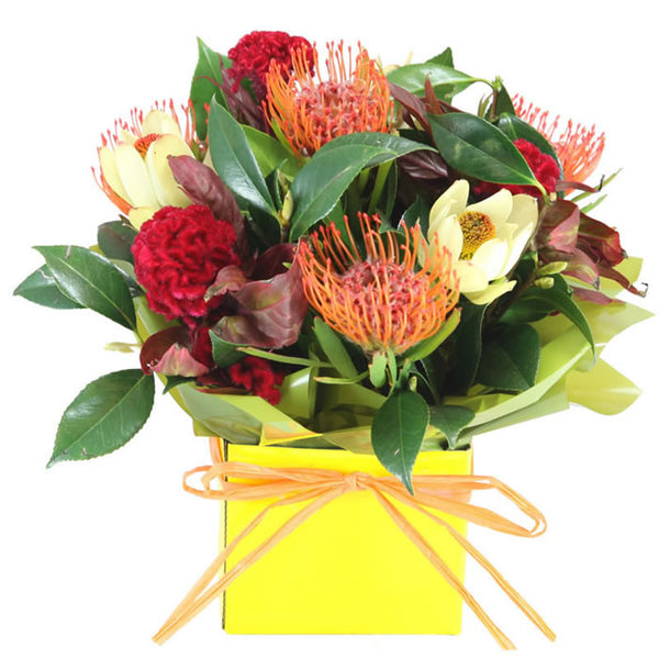 Bush Box – Lucy's Florist